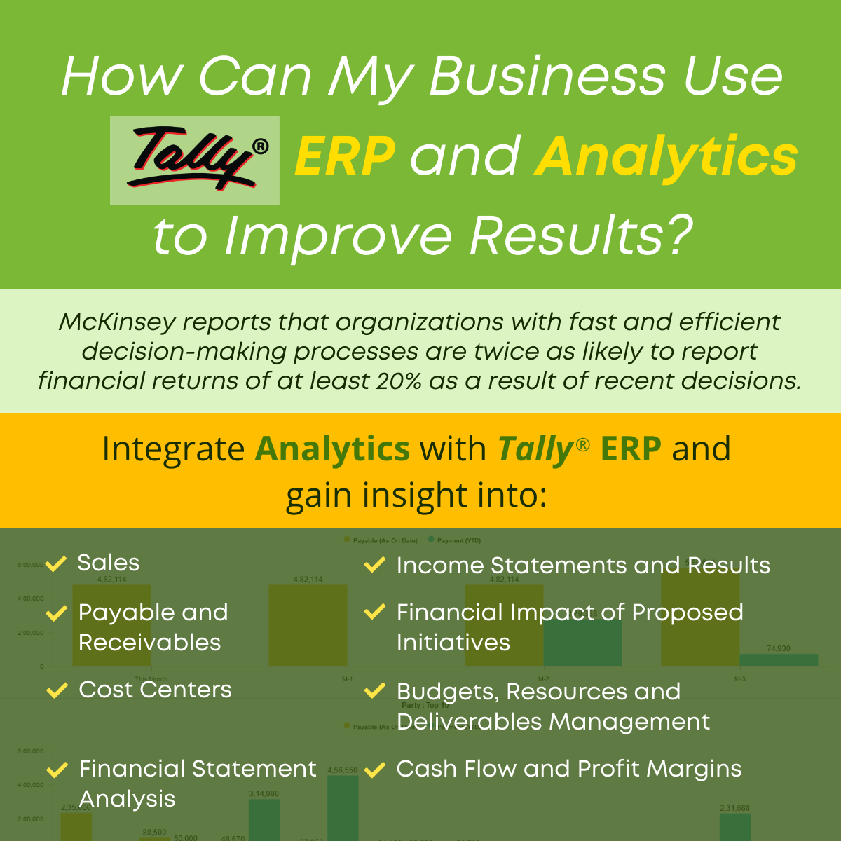 What Insights Can My Business Gain from Integrated Tally Mobile Analytics?