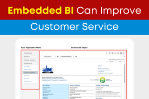 Using Embedded BI to Improve Customer Service and Satisfaction